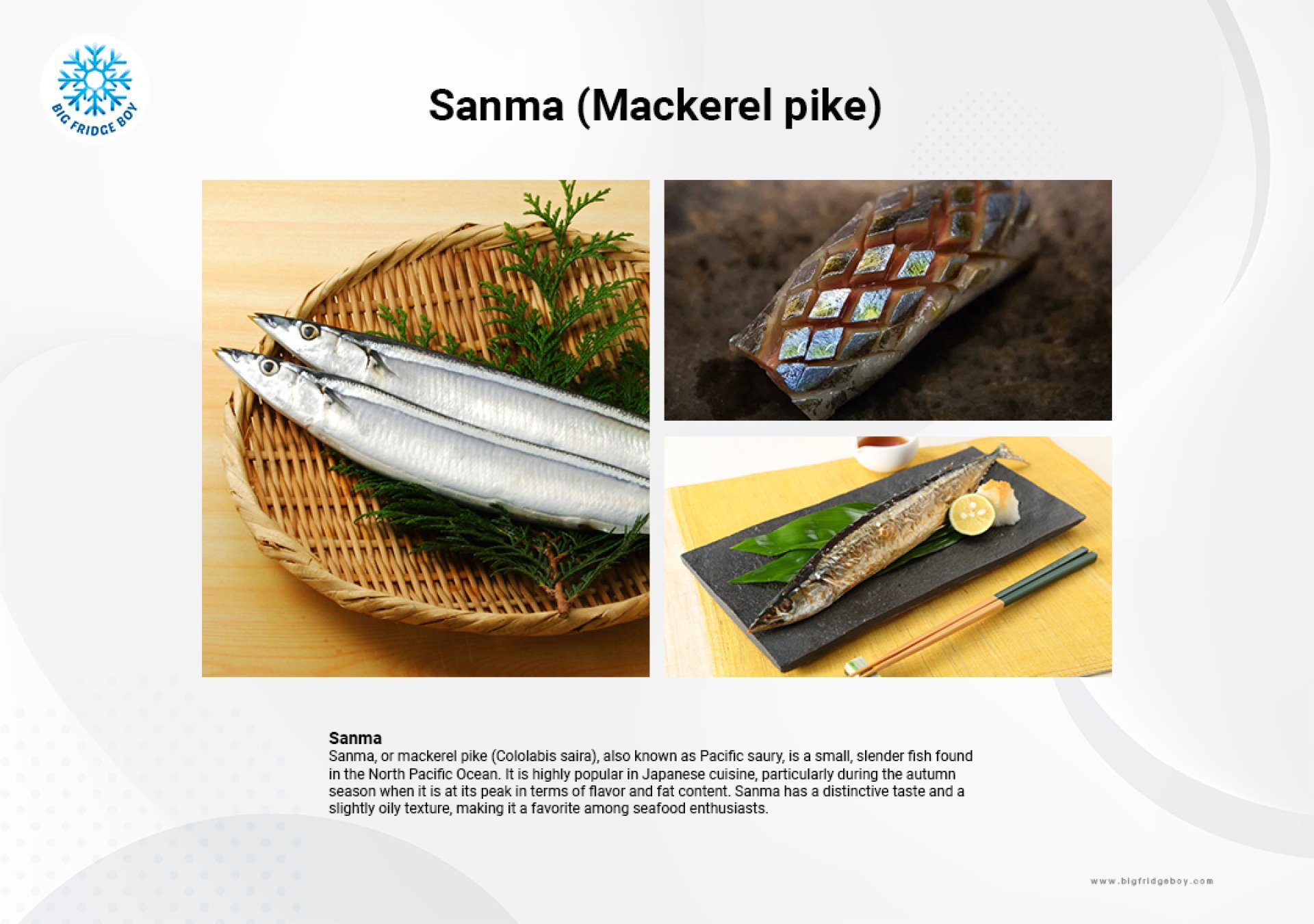 '5 Mackerel' Most Use In Japanese Cuisine