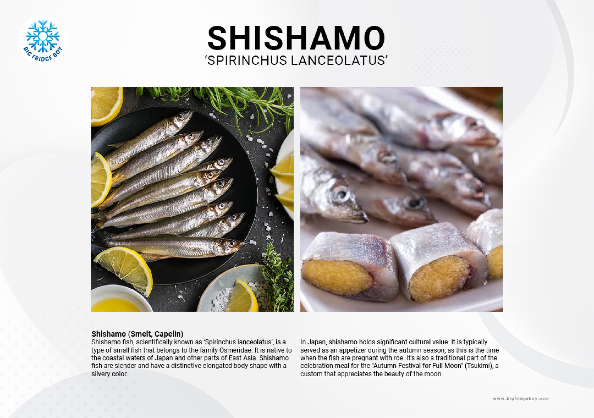 "Ebiko: The Shrimp Roe That's Actually Made From Fish"