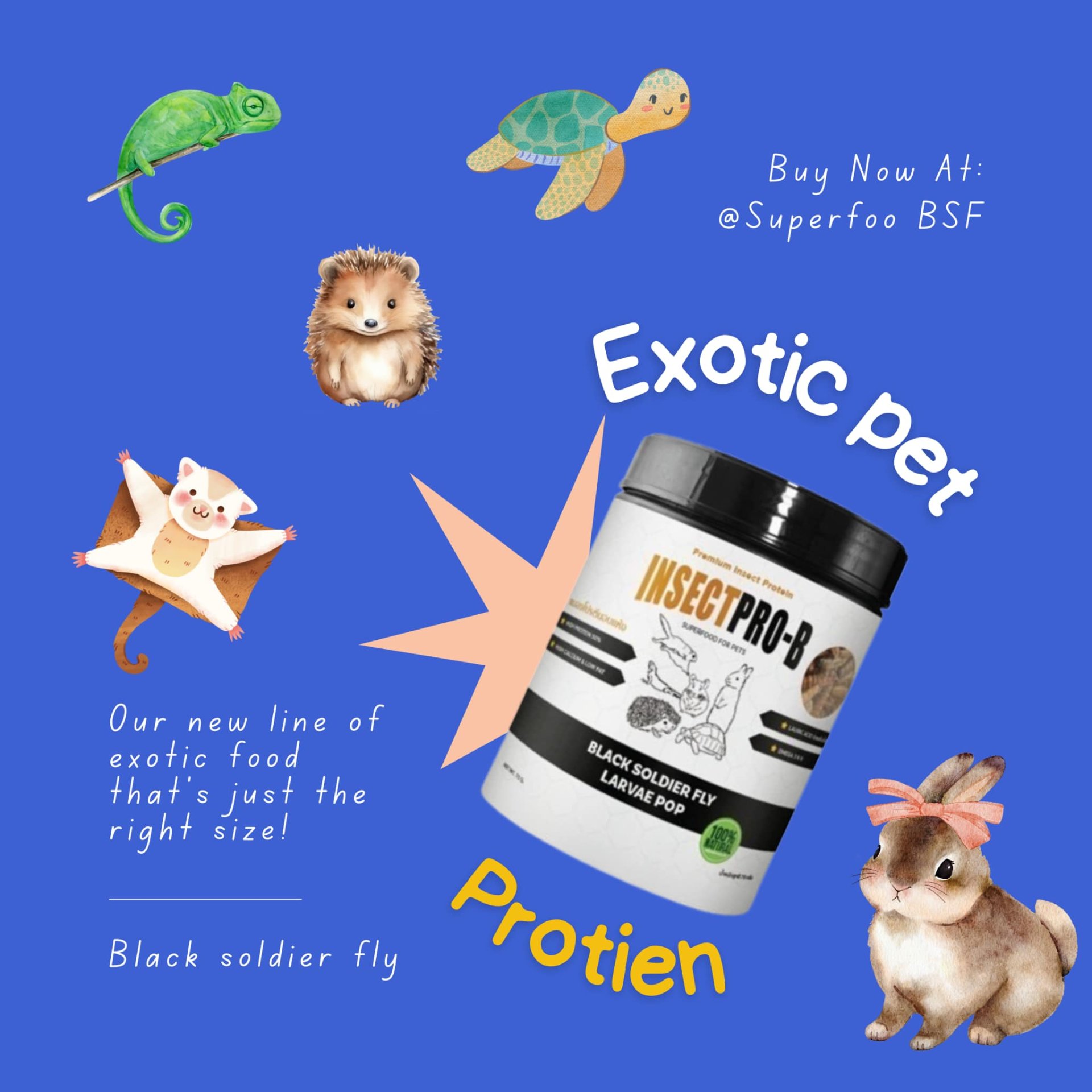 thailandbsf : ผู้ผลิตอาหารโปรตีนจากแมลง BSF ครบวงจร