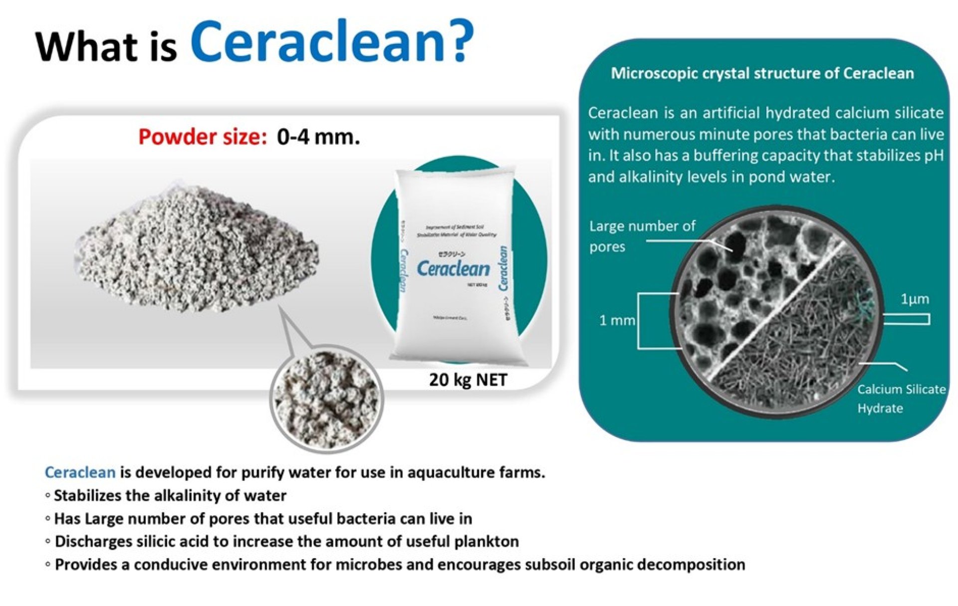 What is Ceraclean?