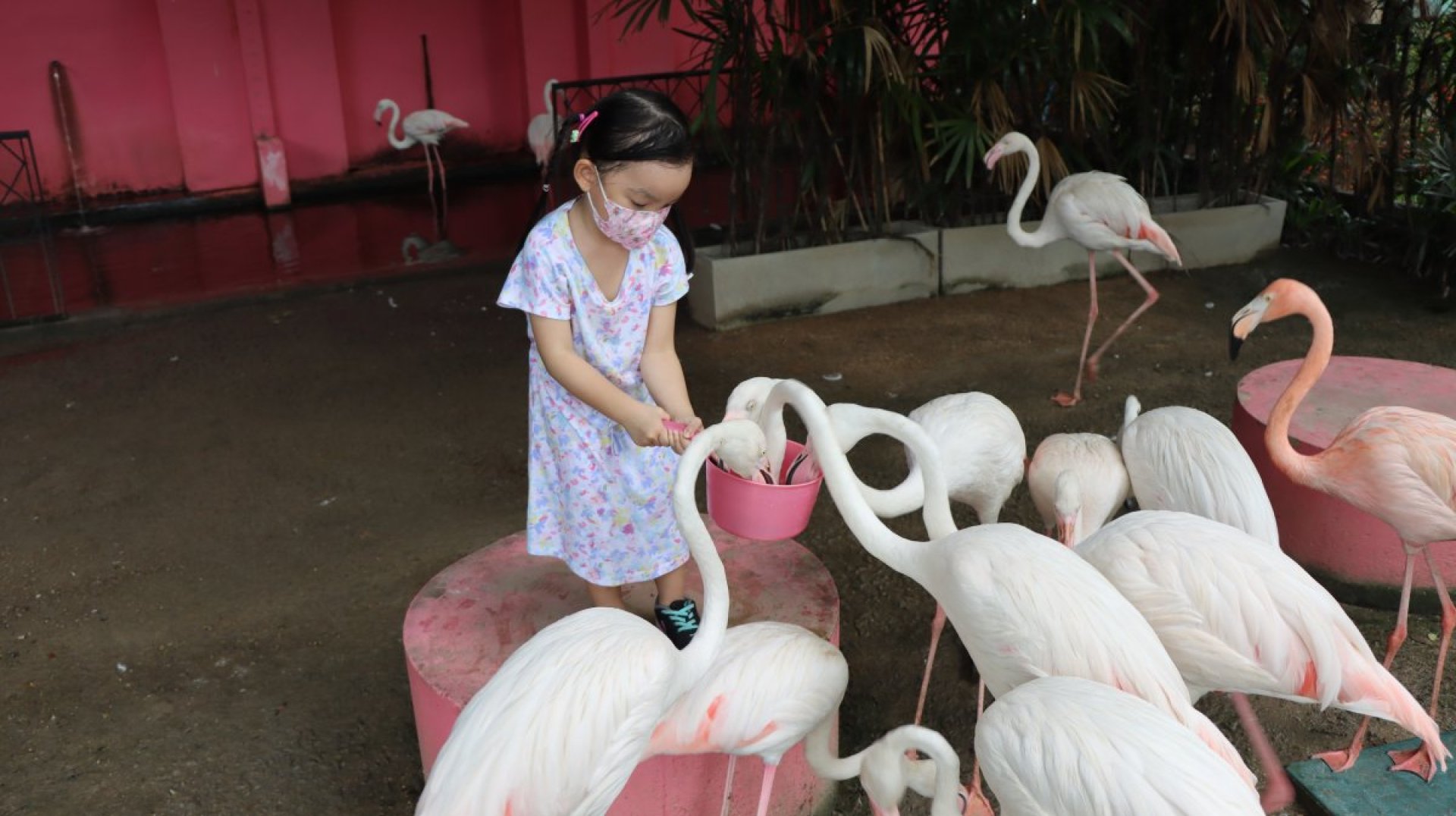 camelrepublicpark.com