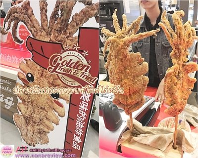 Gallery - Nanareview