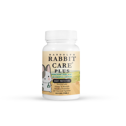 randolphanimalhealthcare - randolphanimalhealthcare