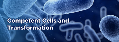 บทความทั้งหมด - smartscience