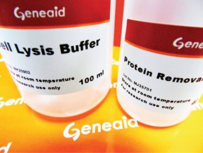 1 Kb DNA Ladder - Smartscience