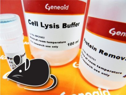 1 Kb DNA Ladder - Smartscience