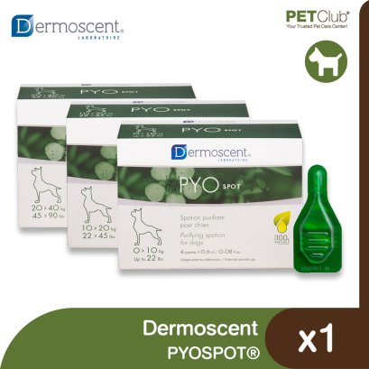 อาหาร อุปกรณ์ และของใช้สำหรับสุนัข - petclub