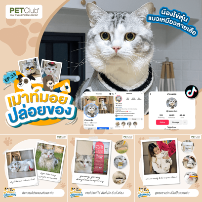 บทความทั้งหมด - petclub