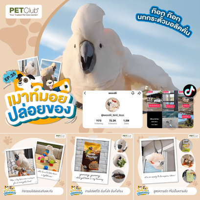 บทความทั้งหมด - petclub