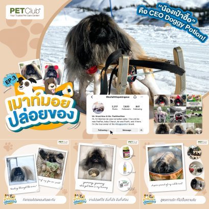 PETClub ผู้นำด้านสินค้าพรีเมียมและบริการสำหรับสัตว์เลี้ยง