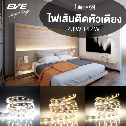 สินค้าทั้งหมด - Evelighting