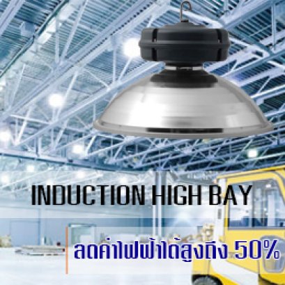 Induction Lamp Street Light - enersavepower