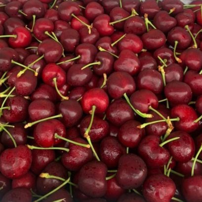 Success Import & Export Co., Ltd.