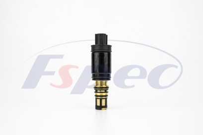 CONTROL VALVE - formula