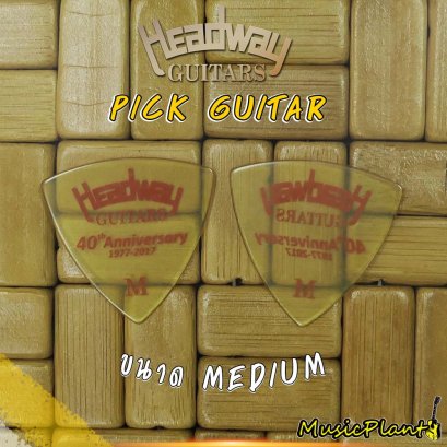 อุปกรณ์สำหรับกีตาร์และเบส - musicplant