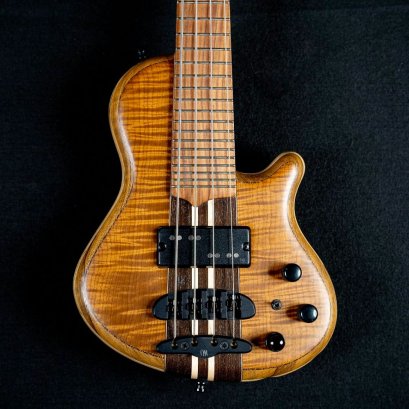 BASSES - stringsshop