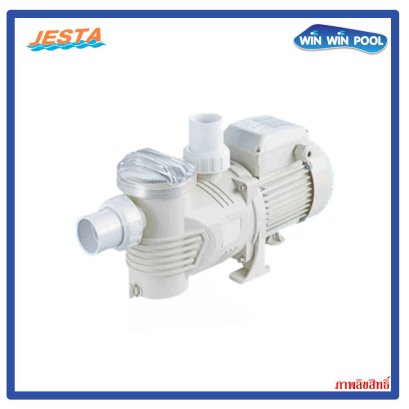 Jesta Swimming Pool Pump - winwinpoolshop