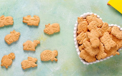 Animal Crackers: History of Beloved Animal Snacks | Rimping