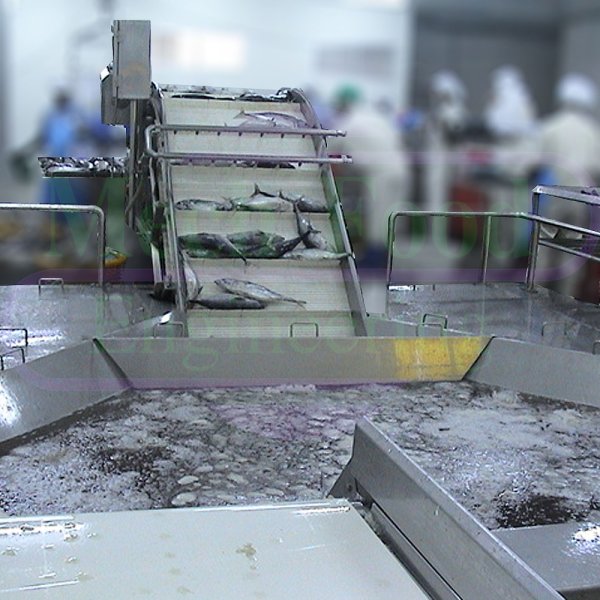 FISH WASHER - mechfood