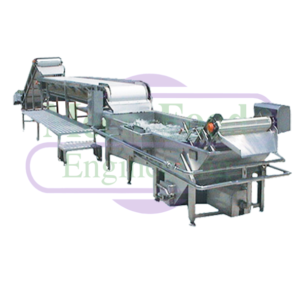 FRUIT VEGETABLE WASHER - mechfood