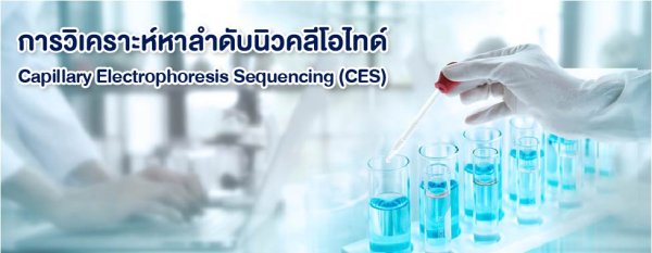 การวิเคราะห์หาลำดับนิวคลีโอไทด์ Capillary Electrophoresis Sequencing ...