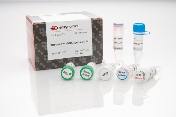 TOPscript™ cDNA Synthesis kit - smartscience