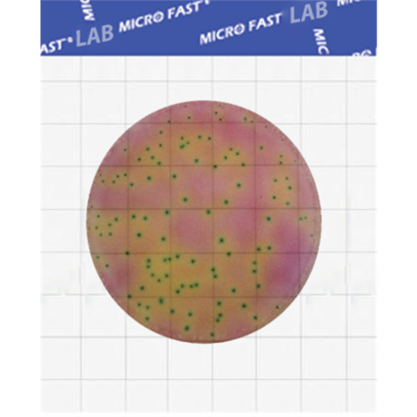 MICROFAST® LACTIC ACID BACTERIA COUNT PLATE - 25 Tests - smartscience