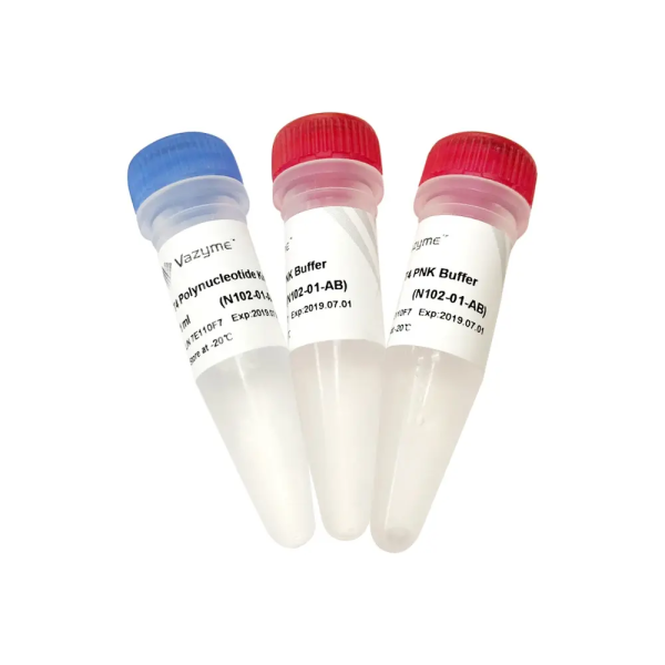 T4 Polynucleotide Kinase N102 (10,000 U) - smartscience