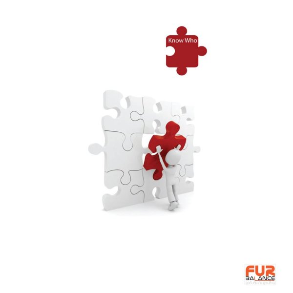 ทำไม ต้องมี Know How ก่อน Know Who ความสำคัญมากน้อย ขึ้นอยู่กับอะไร ...