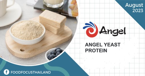 ANGEL YEAST PROTEIN - foodfocusupdate