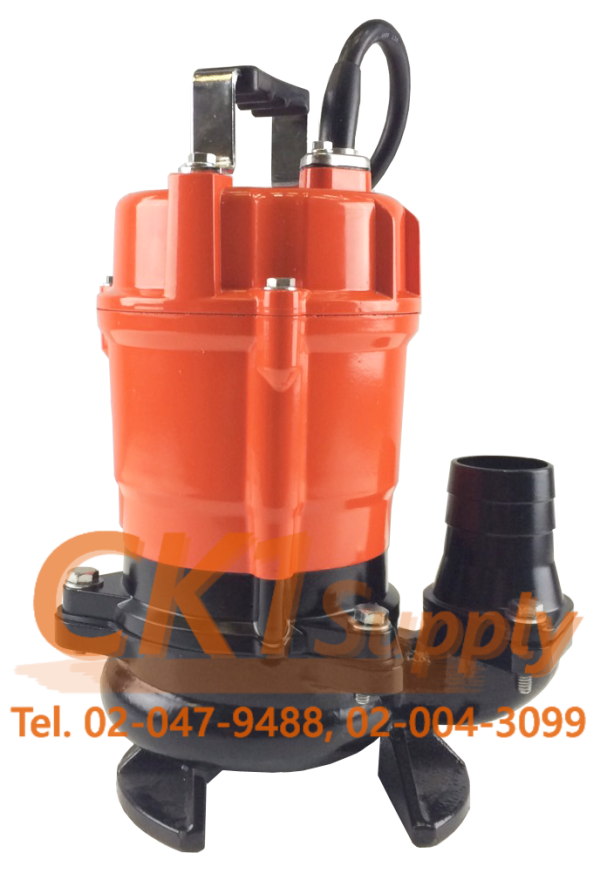 ปั๊มน้ำ Radison รุ่น RDS-200 - ck1supply