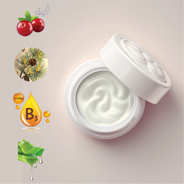 Alpha-Arbutin Plus Cream ครีมลดฝ้า กระ จุดด่างดำ - cherrose-care