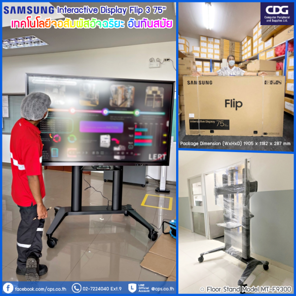 Interactive Display Flip 3 75'' - cps