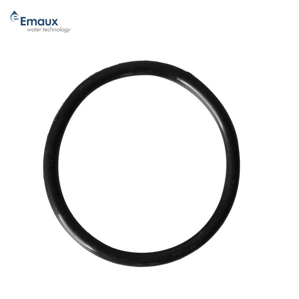 O-Ring for Union SSC Emaux - winwinpoolshop