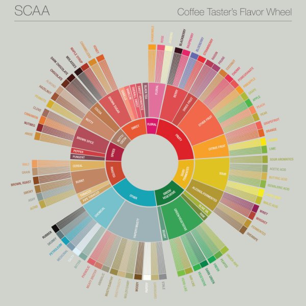 10 คำถามเกี่ยวกับ Coffee Taster's Flavor Wheel - nlcoffee