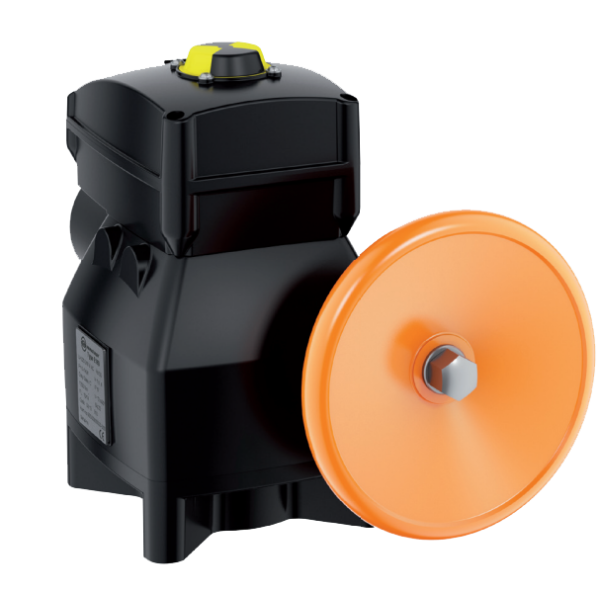 E50-E210 EBRO ARMATUREN Electric Actuator - pneuma