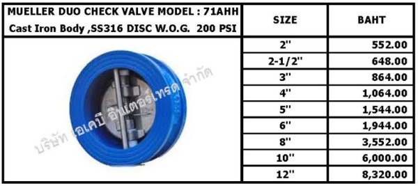 MUELLER DUO CHECK VALVE MODEL : 71AHH - akbintertrade