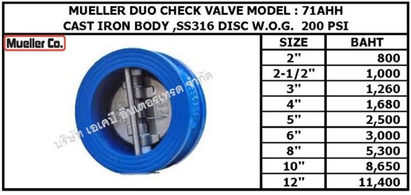 MUELLER DUO CHECK VALVE MODEL : 71AHH - akbintertrade