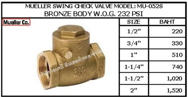MUELLER SWING CHECK VALVE MODEL: MU-052S - akbintertrade