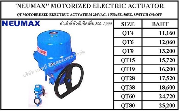 NEUMAX" MOTORIZED ELECTRIC ACTUATOR - akbintertrade