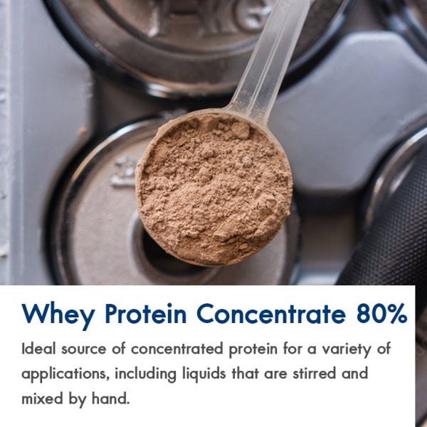 Whey Protein Concentrate 80% - bkyfood