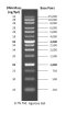 1 kb PLUS™ DNA Ladder - Smartscience