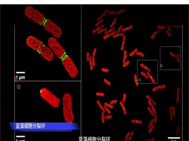 Hyperspectral Microscope System | Hong Kong NTI