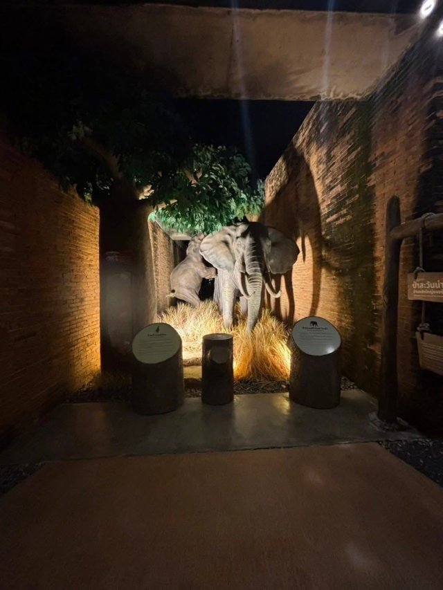 Elephant World Night Museum