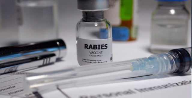 Long-Term Side Effects of Rabies Vaccine: Safety Facts