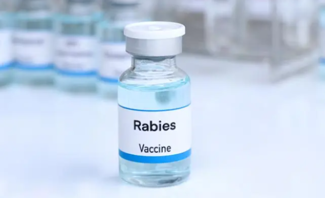 Anti Rabies Vaccine Dose for Adults: A Simple Guide (2025)