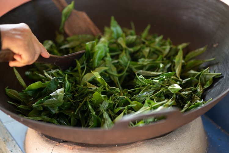 Tea Tour - araksatea.com